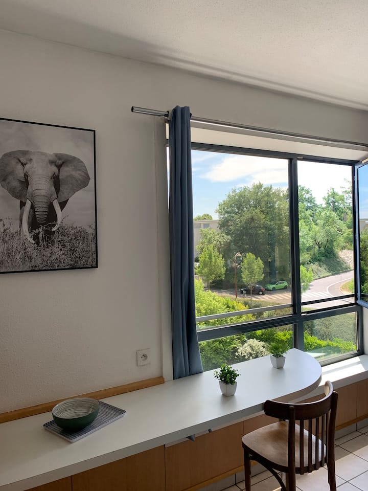 Studio Bourran + Parking - Rodez