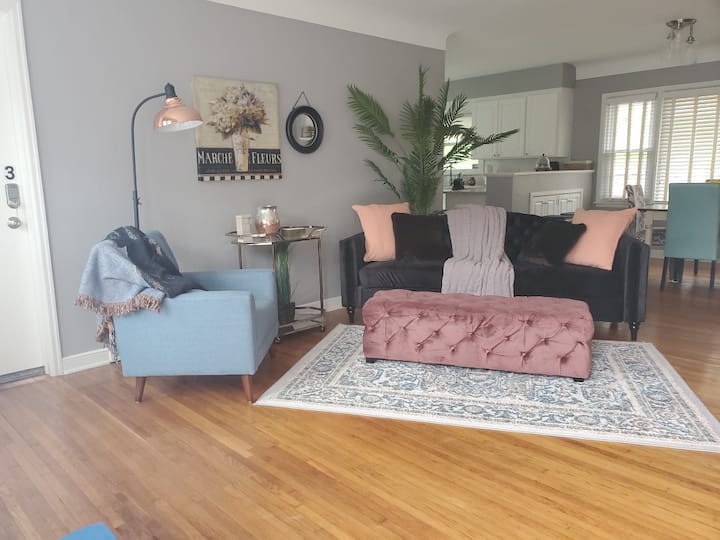 Downtown Minneapolis/st. Paul, 1br/shr Bth, - 세인트폴