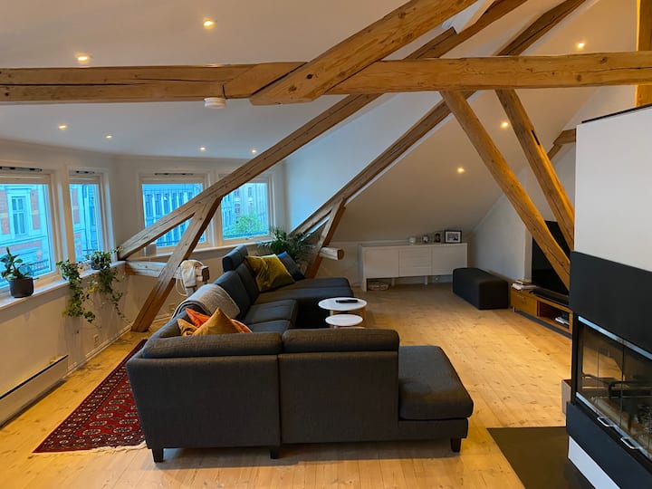 Room In Large Apartment - Oslo