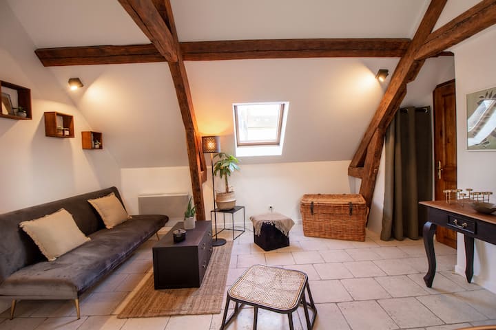 Cosy Cœur Historique+park, 5mn à Pied Gare Vernon - Giverny