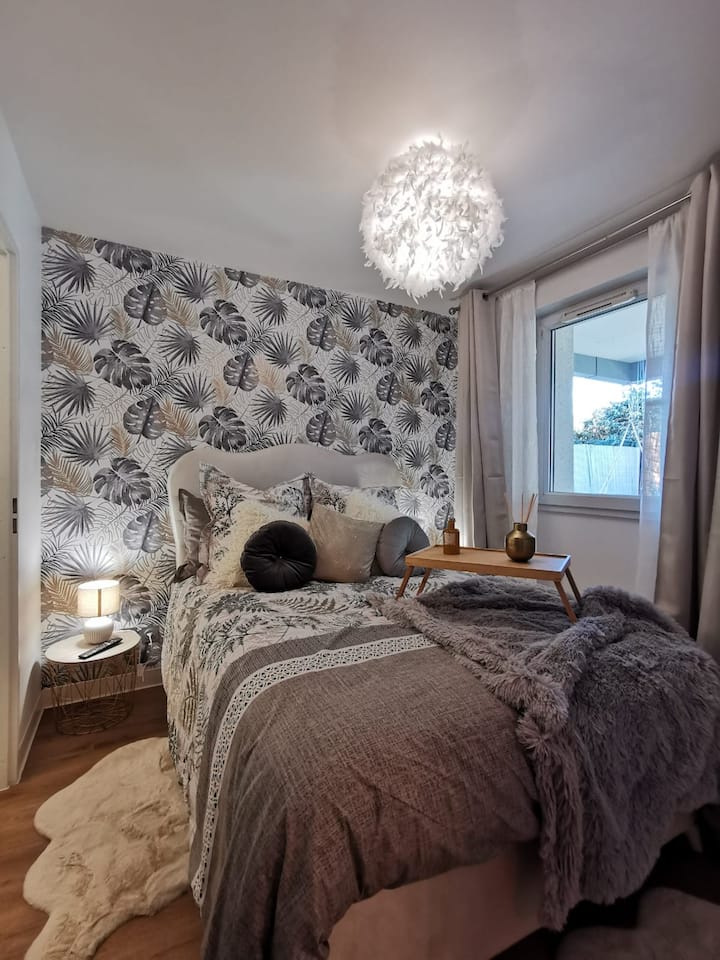 Le Jungle - 2p - Blagnac - Blagnac