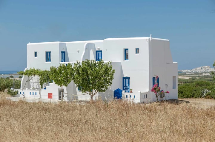 Lions-sea, Cycladic Apartment, Naxos - Naxos