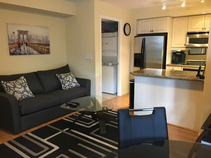 Lovely One Bedroom Condo In Downtown Core Toronto - Toronto