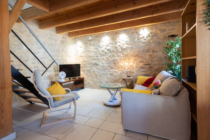 Le Pandora, Climatisé , Avec Parking Et Terrasse - Nîmes