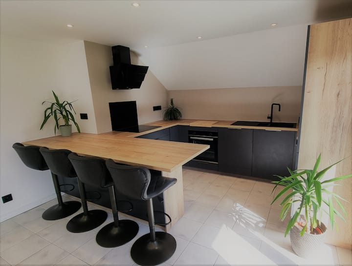 Superbe Appartement Entre Lac Et Montagne - Thônes