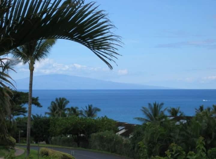 Panoramic Ocean Views, 1 Bedroom, 2 Bath - Wailea, HI