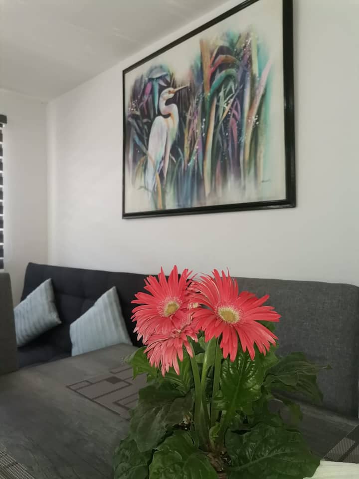 Departamento Planta Baja 5 Huéspedes (Facturamos) - Querétaro