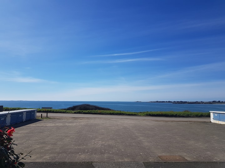 Appartement Avec Vue Mer, Face Aux Glenan - Port Manec'h
