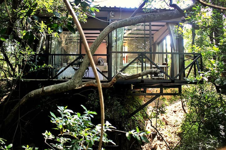 13 Best Treehouse Hotels In South Africa - Updated 2025 | Trip101
