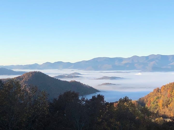 Tree Tops - Franklin, NC