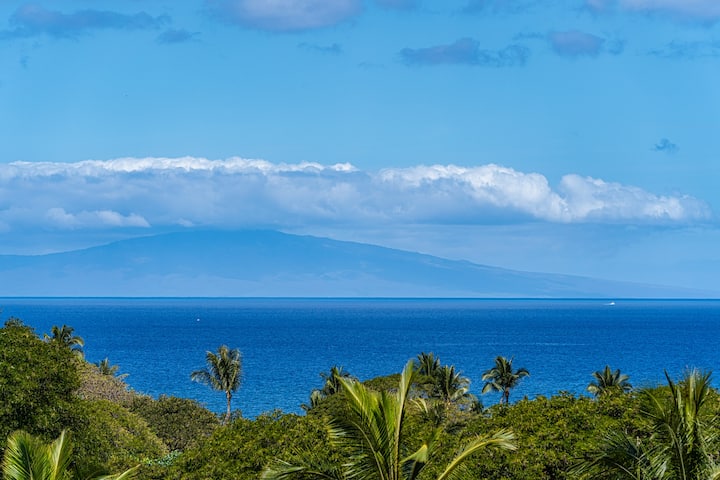 Hoolei Wailea Beach Villa With Amazing Views! 31-6 - Maui, HI