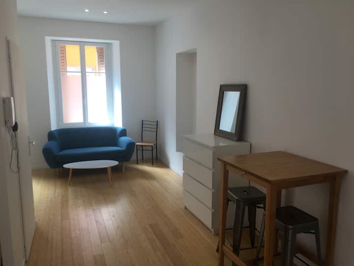 Studio Centre Ville Avec Accès Jardin - ibis Styles Belfort Centre