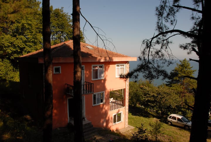 Peaceful House In The Forest With A Sea View - Abana