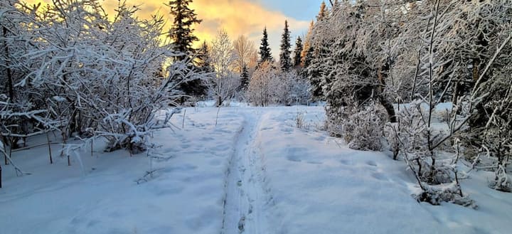 Creekside Home: Wild Alaska Living Centrally Locat - Alaska