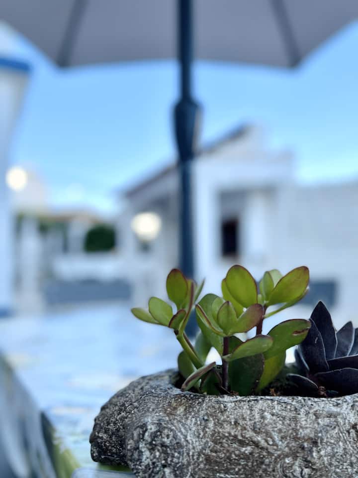 Apartamentos Guiomar Campos - Porto Covo