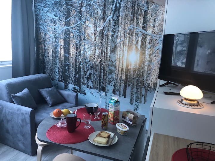 Studio Mont Dore - Chambon-sur-Lac