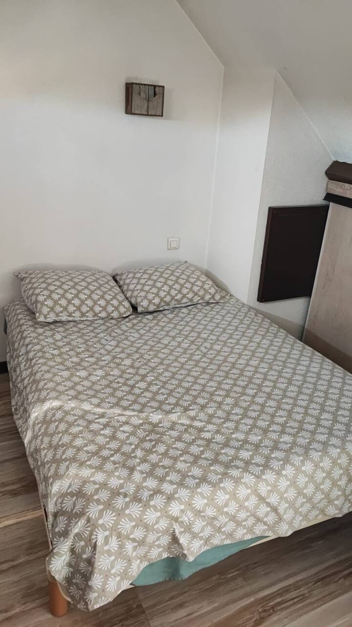 Montbéliard : Bel Appartement T2 Plein De Charme - Montbéliard