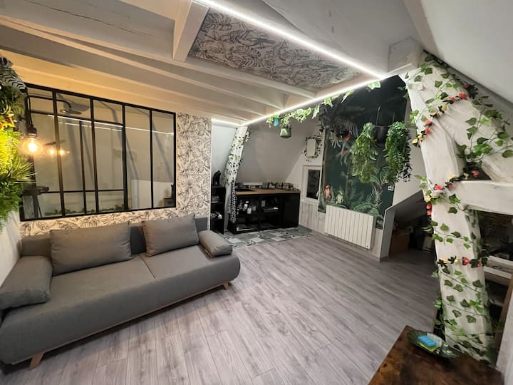 Studio Sous Comble Atypique Avec Extérieur - Saint-Aignan-sur-Cher