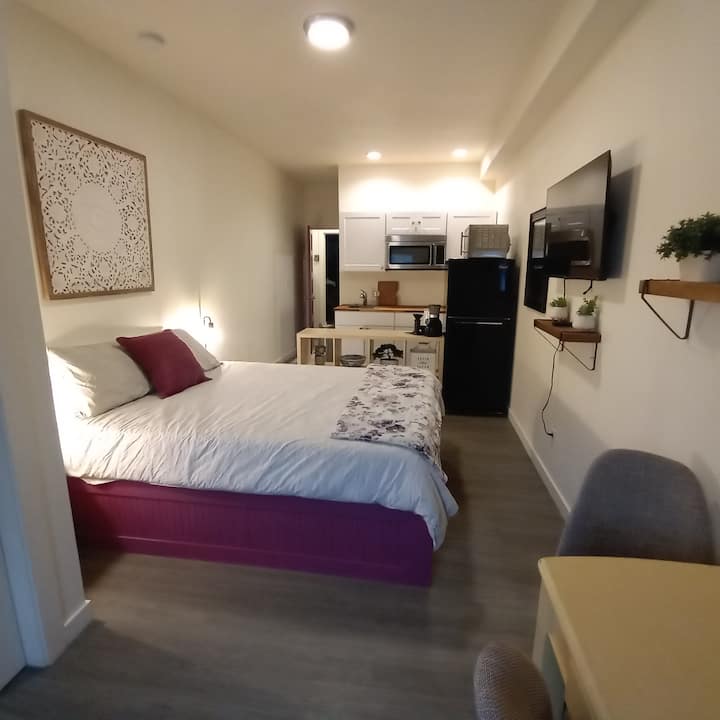 Downtown Studio - Plum - Moscow, ID