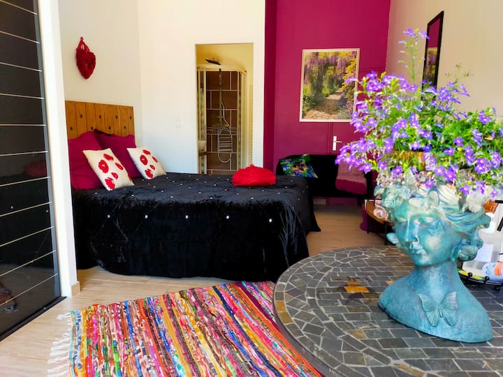 ❤️Studio Cosy❤️ Exterieur Zen❤️ Centre Ville - Cambo-les-Bains