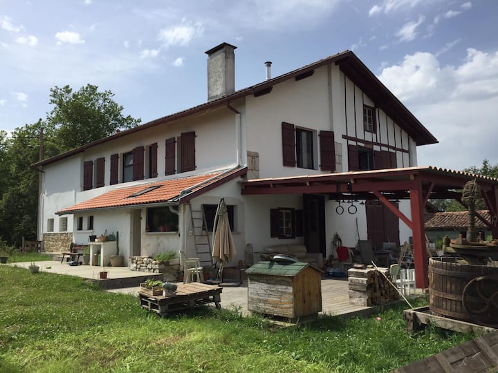 Ancienne Ferme Basque Rénovée Par Nos Soins. - Pays basque français