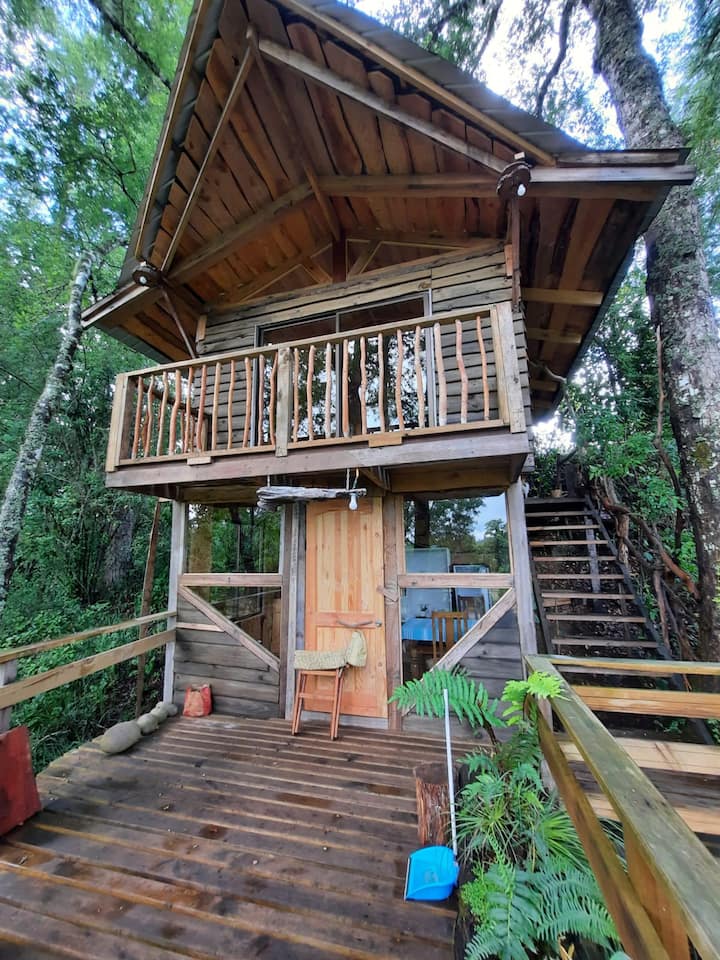 Agradable Cabaña En El Bosque Con Linda Vista - Araucanía
