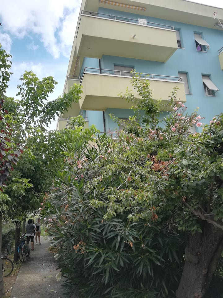 Piacevole Soggiorno Estivo A Misano Adriatico - Misano Adriatico