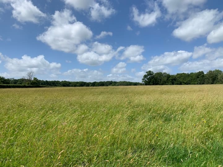 Camping - Wild/pop Up In Beautiful Surrey Hills - Hampshire