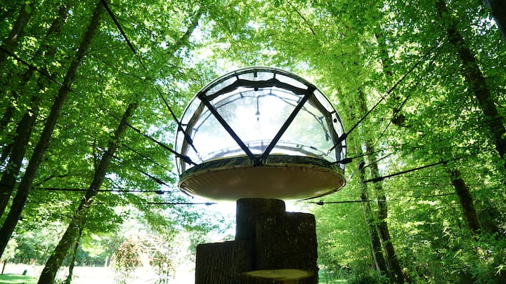 Bulle Suspendue Ô Pays Des Bois + Petit Déjeuner - France