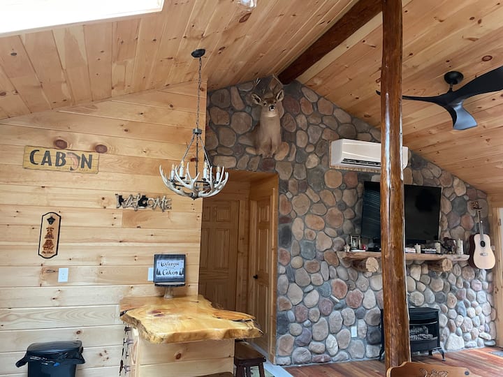 Secluded Cabin 2 Bedroom With A Lake Nearby - Baldwin, MI
