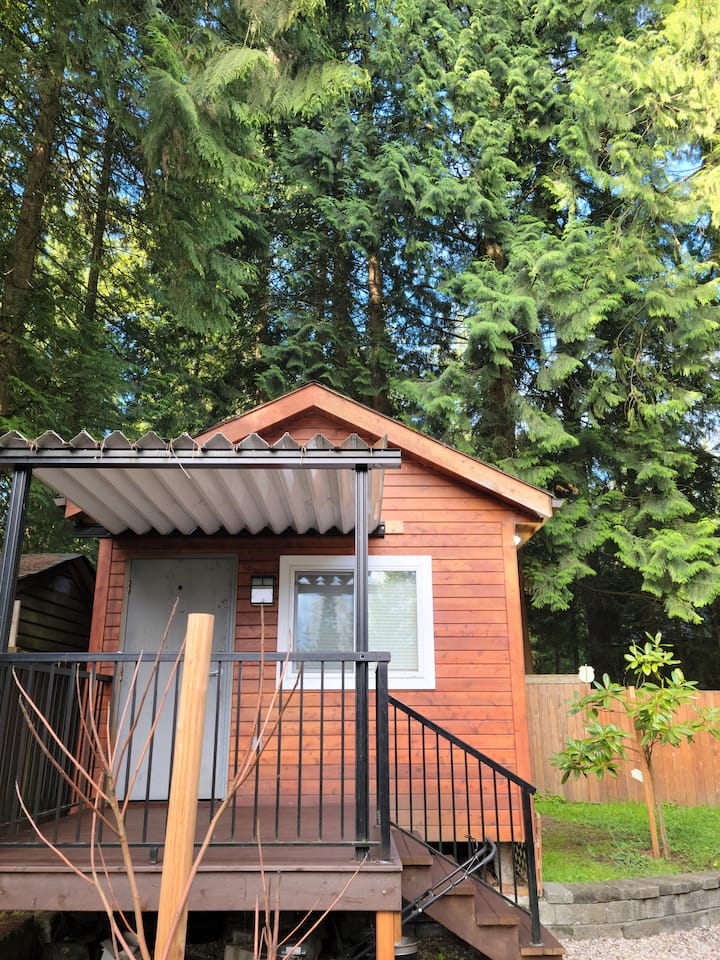 Surrey Vacation Rentals | Apartments and More | Airbnb