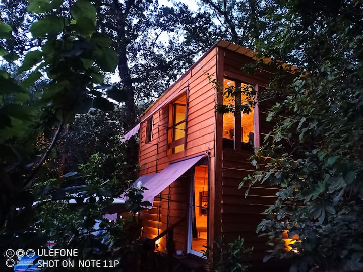 Petit Chalet Dans Les Arbres Avec Ses Animaux - Alpes-Maritimes
