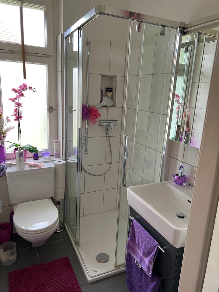 Schönes Dachzimmer In Thun - Thun