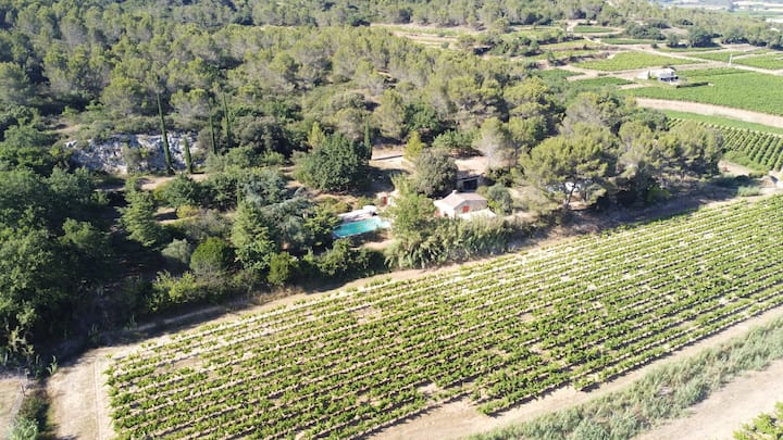 2 Mazets - Vue Unique Camp De César & Vignobles - Pont-Saint-Esprit