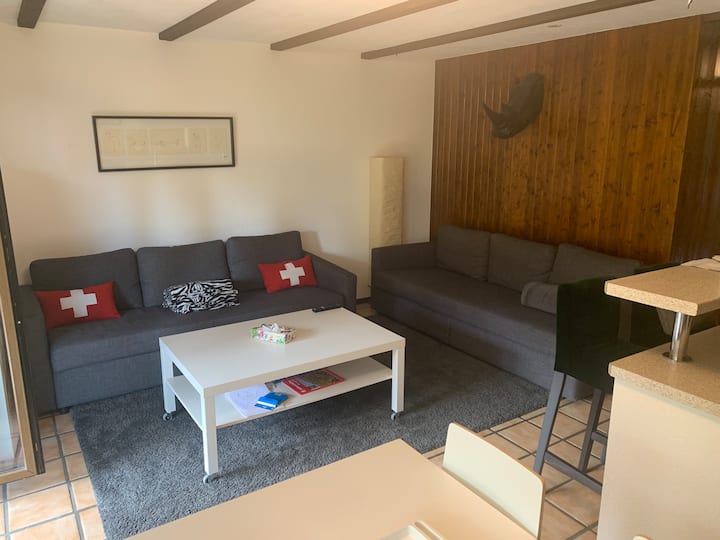 Superbe Appartement Au Cœur Des Portes Du Soleil - Châtel
