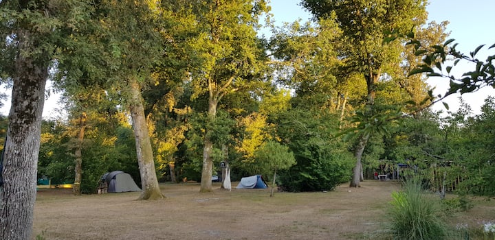 6 Camping Chez L'habitant à 20 Mn De L'océan/lacs - Gastes