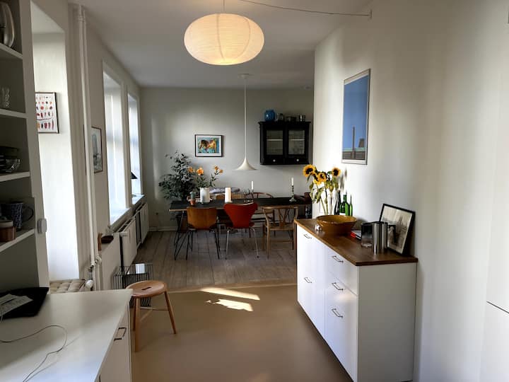 Charming Appartment In Heart Of Copenhagen - Copenaghen