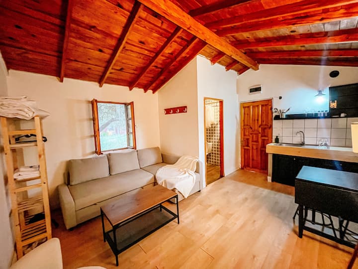 Studio Tiny Cottage On An Acreage With Sea - Bozcaada