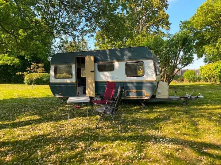 Kleiner Campingplatz Inmitten Der Seenplatte - Mecklenburgische Seenplatte