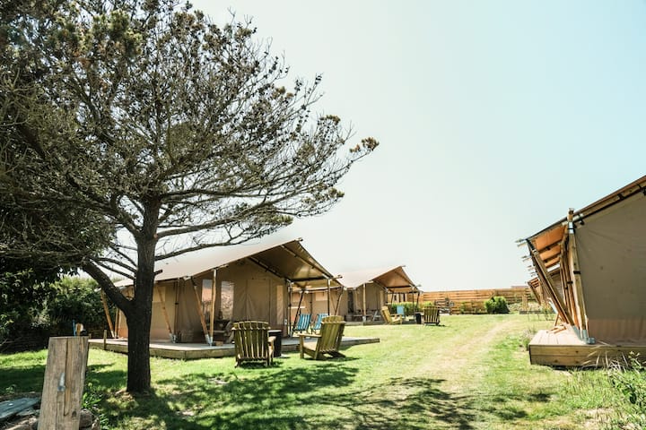 Stylish Safari Tent Lodge 'Harlyn Sands' - Constantine Bay