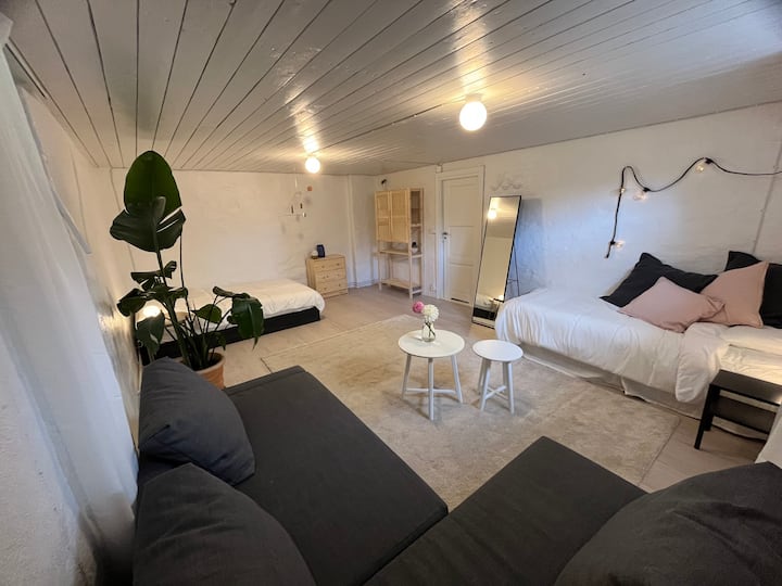 Spacious & Affordable City Stay, 8 Sleeps, Garden - Gothenburg