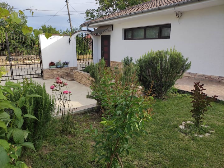 Studio "Oasis-shabla" - Tyulenovo