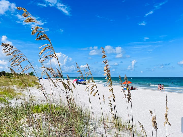 Spacious Safe Clean Home - Minutes To Beach - Largo, FL