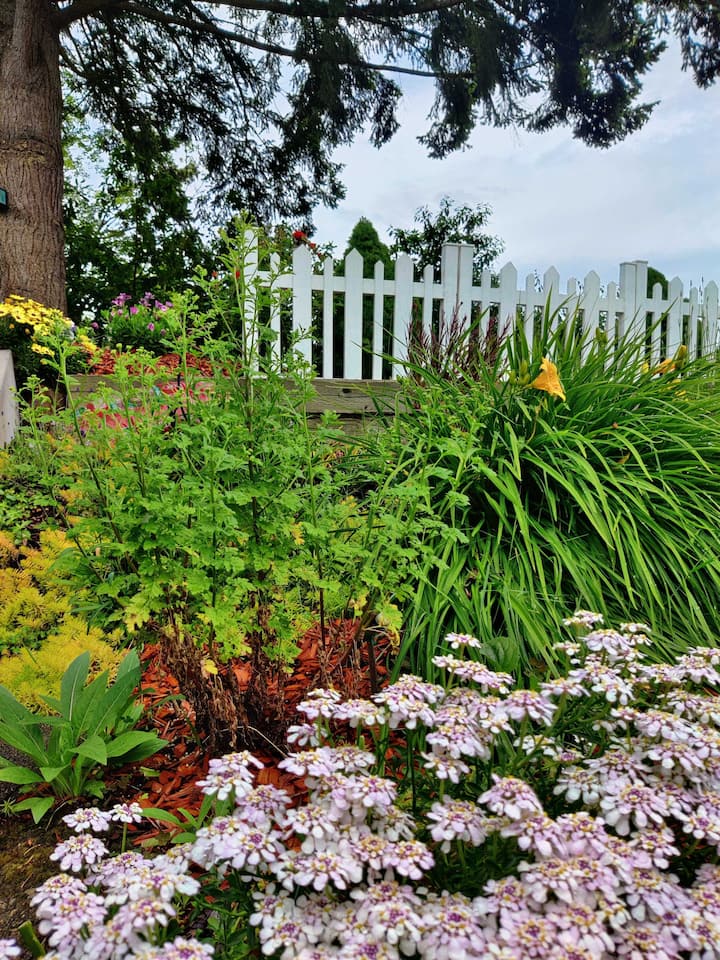 2-bed-1-bath Kitchen In-law Unit + Views + Garden - Eugene, OR