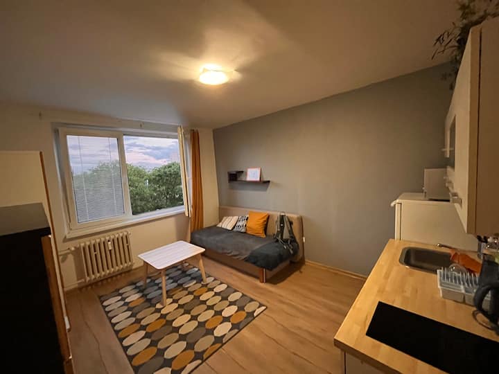 Gemütliche Wohnung Nicht Weit Vom Centrum - Bratislava