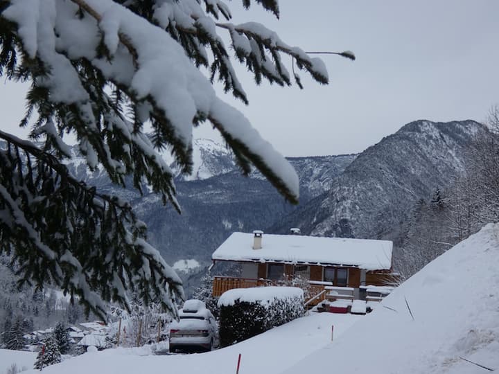 Chalet Tournette Avec Jacuzzi Le Fraisier - Thônes