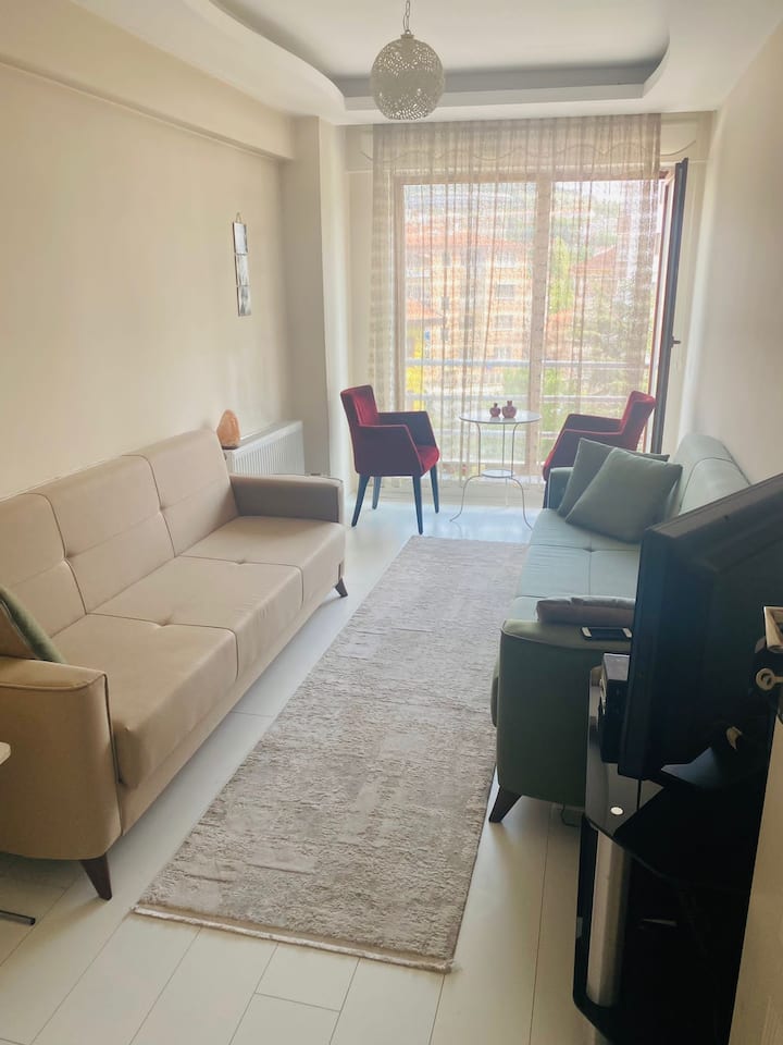 1+1 Odunpazarı ŞEhir Merkezi Daire Aileden Temiz - Eskişehir