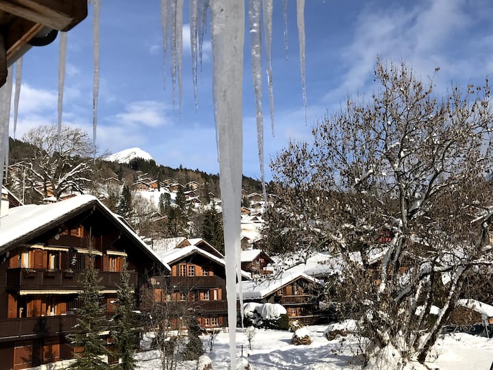 Superbe Grand Appartement Avec Balcon Sud - Les Diablerets