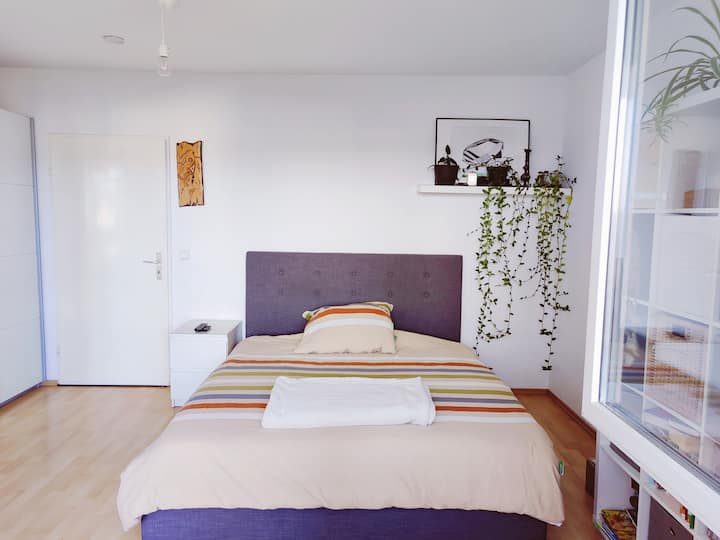 Zimmer In Unmittelbarer Fh-nähe Aschaffenburg - Aschaffenburg