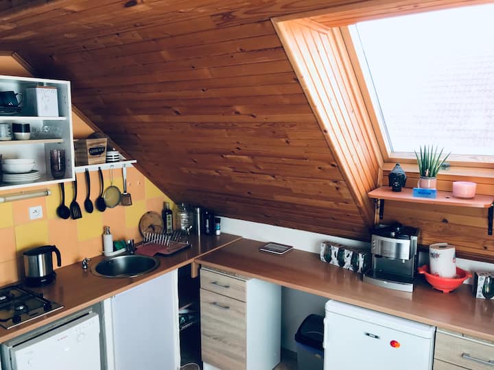 Attic Apartment Near Tez Station With Tatras View - Starý Smokovec
